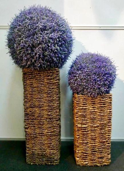 Purple Spike Ball – Green Gardens Mihiliya (Pvt) Ltd