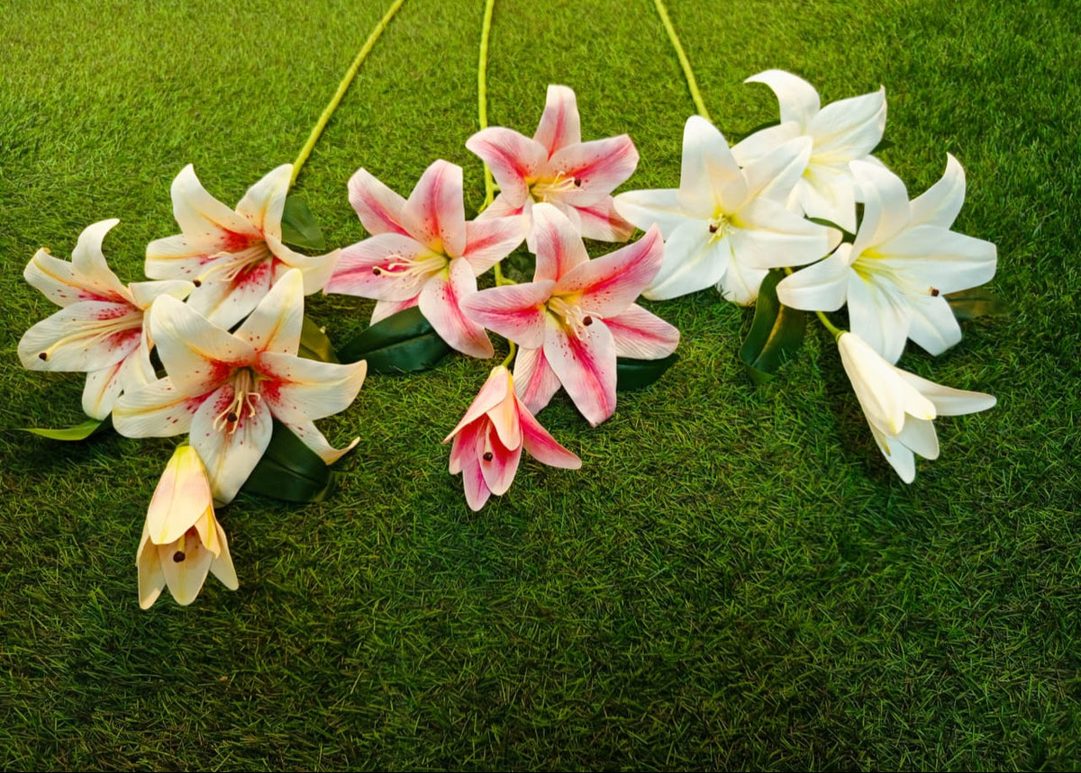 h:100cm Tiger Lilly Bunch – Green Gardens Mihiliya (Pvt) Ltd